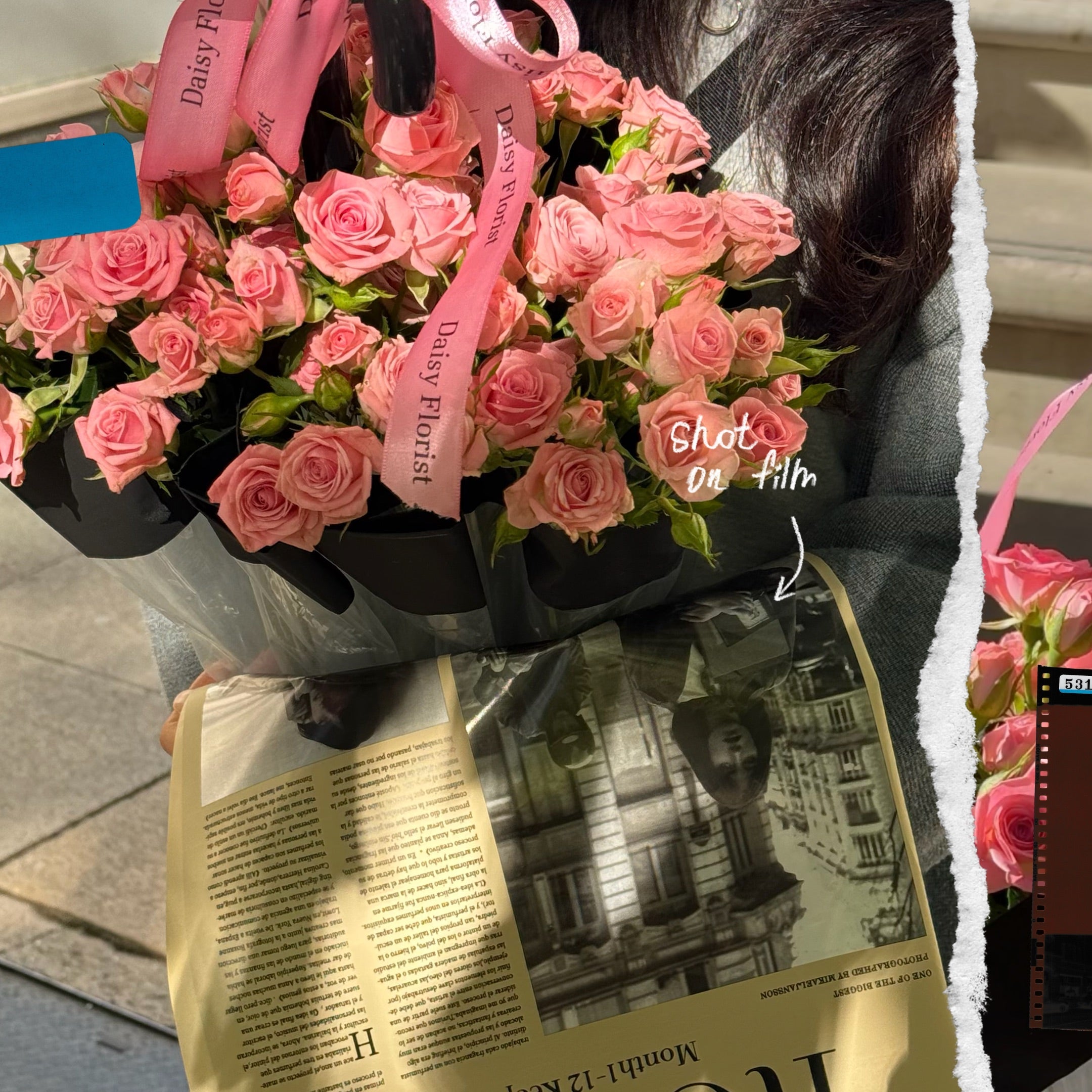 Signature Blooms – Daisy Florist